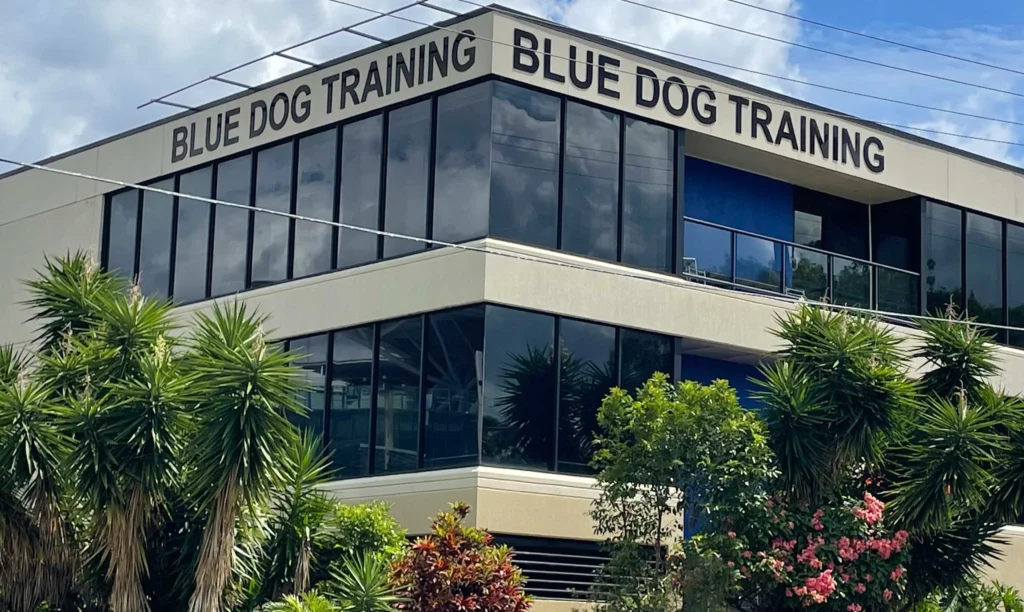Blue Dog Training | Office Furniture Brisbane